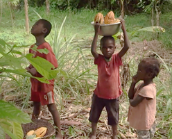 Jugendliche nehmen Stellung — Wirtschaftsmittelschule Zug WMS