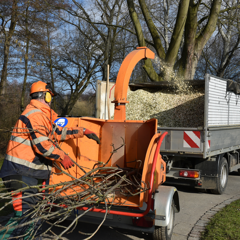 Offene Stellen — Risch