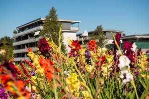 Schulen — Risch-Rotkreuz